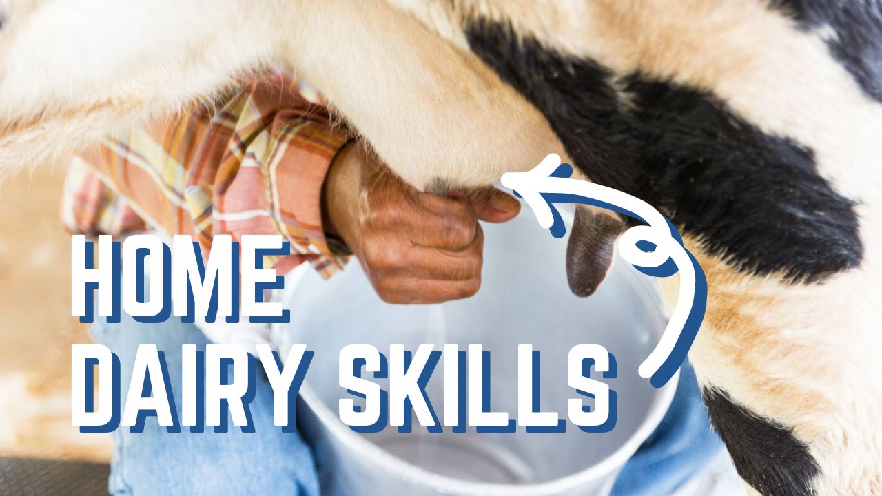 The Natural Home Dairy – Videos – Mother Earth News